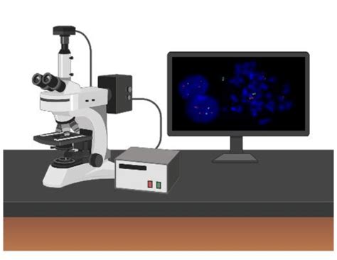 Fluorescence Microscope Along With Computer Imaging Download
