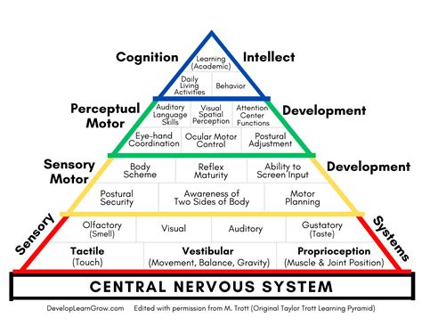 Sensory Processing Pyramid Of Learning At Bruce Macias Blog