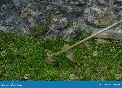 Green Grass Cutting Equipment Tool Cutting Garden Tools Close Up Stock