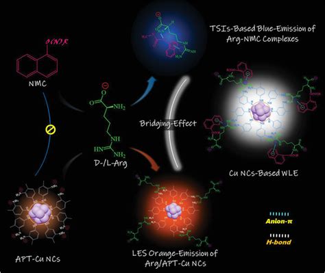 Schematic Of Arg‐tailored Nonconjugated Assemblies Architecture Design Download Scientific