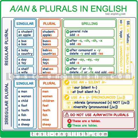 Aan Plurals Singular And Plural Forms Learn English Words