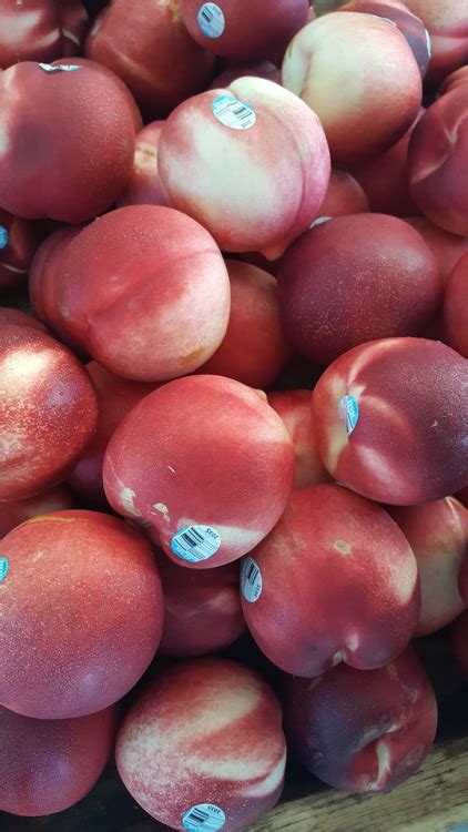 🍑🍒🍓 Tumbex