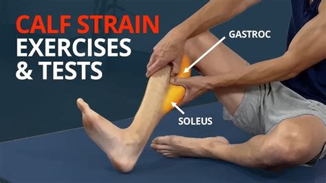 Soleus