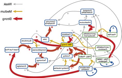 ¿qué Tipos De Mapas Cognitivos Hay Bilbao Bizkaia