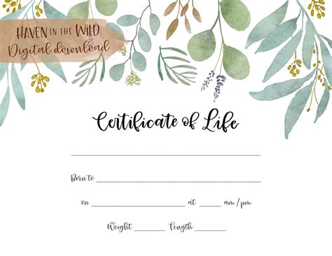 Certificate Of Life Miscarriage Stillbirth And Infant Loss Keepsake Soft Watercolor Eucalyptus