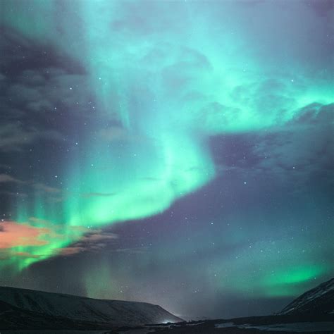 Aurora Notation X Arbee Arbee