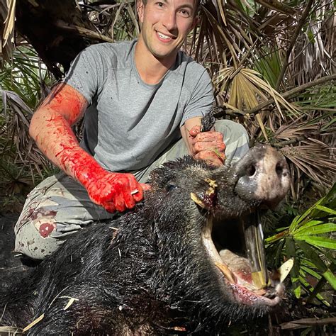 Python Cowboy Hunts Here Is The Boar Hog From The Previous Post This