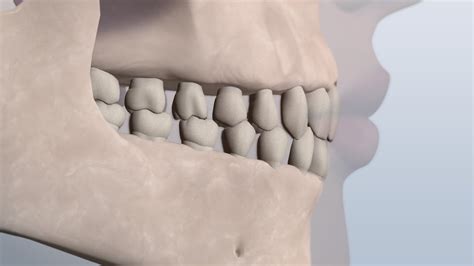 Orthodontic Classification Of Face And Teeth San Bernardino Highland
