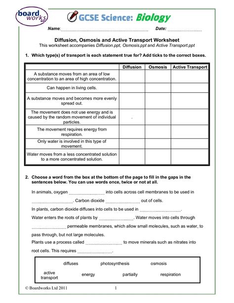Diffusion Osmosis And Active Transport Worksheet Flipbook By Worksheets Library