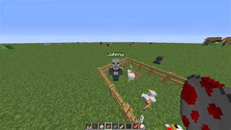 I Dare You To Name Your Vindicator Johnny R Minecraft