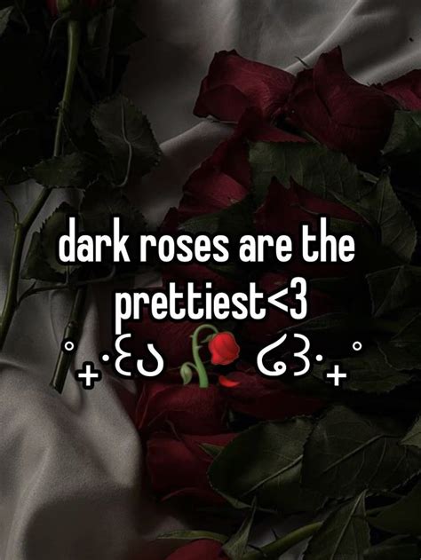 ა 🥀 ໒꒱‧₊˚ Dark Roses Aesthetic Scary Roses Roses 3