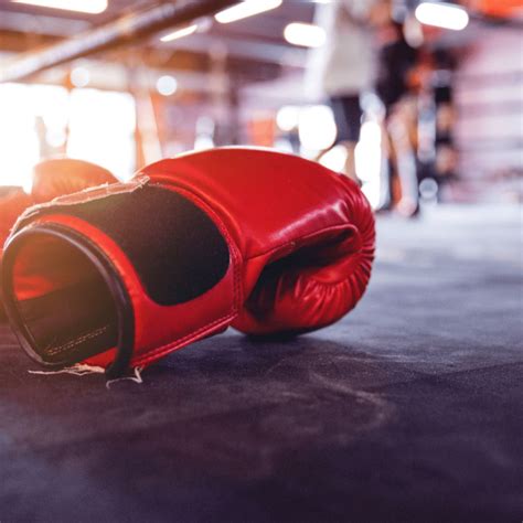 13 Amazing Boxing Glove Deodorizer For 2023 Citizenside