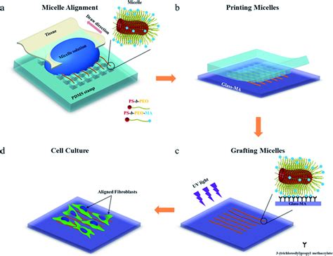 Schematic Representation Of The Micro Contact Printing μcp Technique Download Scientific