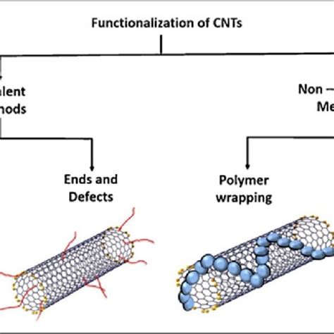 Functionalization Methods Of Carbon Nanotubes 99 With Permission