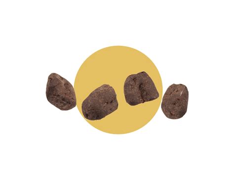 Nud Chocolate Covered Dates 6 Pack Nud Fud Inc