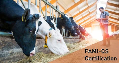 Recognize The Key Features Of A Fami Qs Certification Know About Your Food Safety Standard