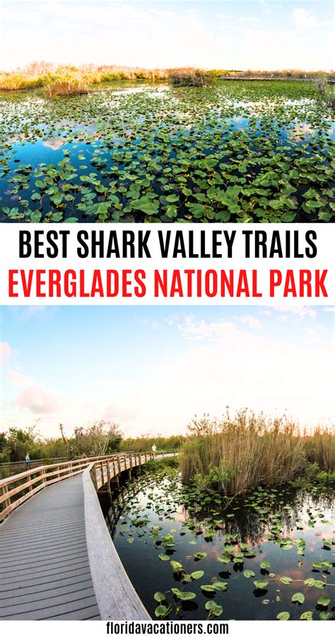 Everglades Hiking 15 Best Everglades National Park Hiking Trails Artofit