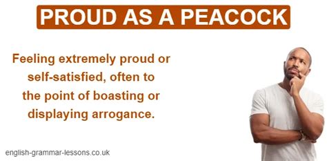 Proud As A Peacock