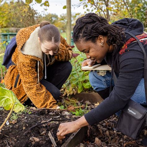 Festive Foraging Followed By Sustainable Christmas Wreath Making 🎉🎄