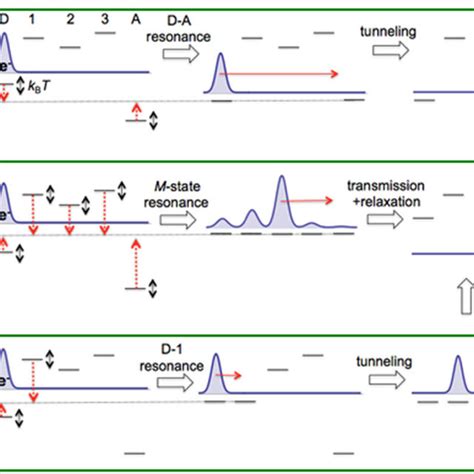A Illustration Of Protein Mediated Electron Transfer Models