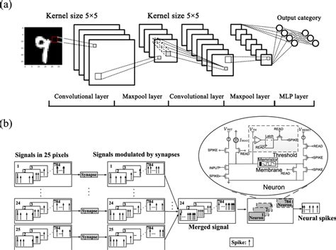 convolutional neural network based on memristive neuron a