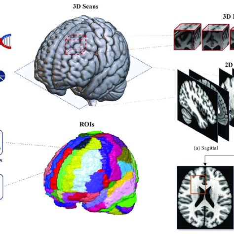 Summary Of The Most Commonly Used Data Types Where An Smri Is Provided