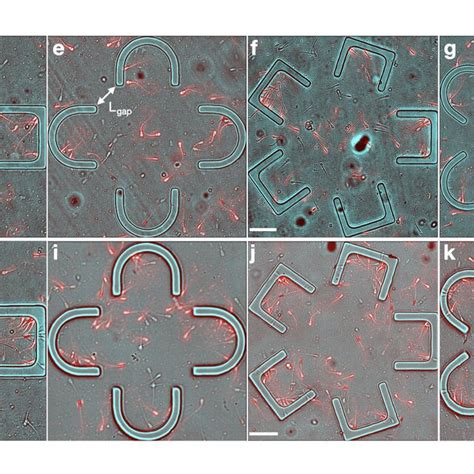 Design Of Microfluidic Devices A Sketch Of The Quasi 2d Hydrostastic