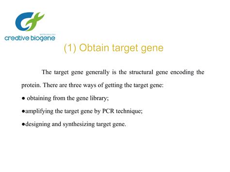 Gene Overexpression Protocol Doc