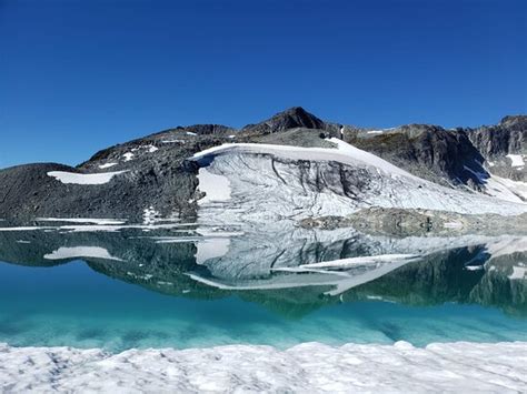 Compass Heli Tours Abbotsford All You Need To Know Before You Go