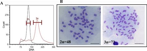 Production Of Sterile Mono Sex Triploid Yellow Drum Nibea Albiflora
