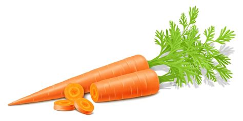 Premium Vector Carrots With Leaves Isolated On White Background Whole