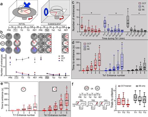 Learning To Learn A Behavioral Protocol And Schematic Of Active Place