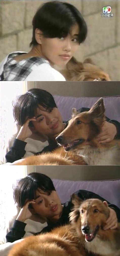 听到陈松伶再唱《雪狼湖》，那些年追过的tvb男神就涌上心头 知乎