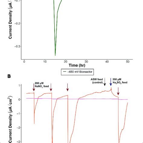 Representative Chronoamperometry Plots To Test For Electrochemical