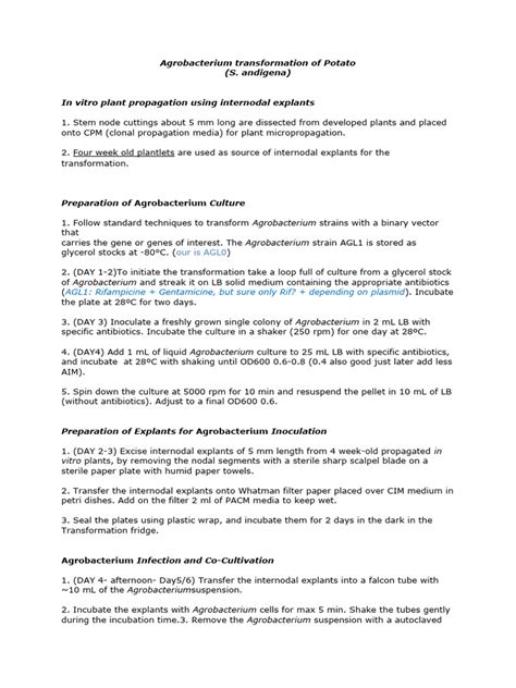 Agrobacterium Transformation Of Potato Pdf Biology
