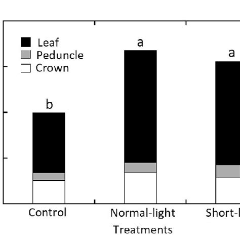 Dry Weights Of Respective Organs Of Strawberry Plants Leaf Peduncle