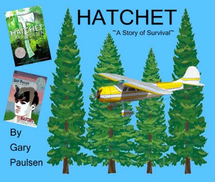 Hatchet Book Plane Crash