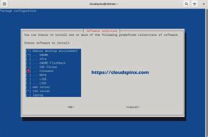 Install Cinnamon Desktop Environment On Debian CloudSpinx