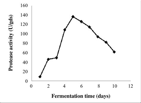 Effect Of Fermentation Time On Neutral Protease Production By Rhizopus Download Scientific