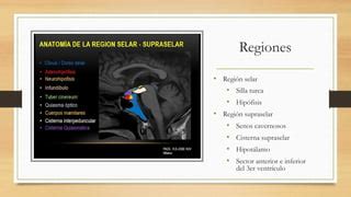 Mastoides Y Silla Tucar En Imagen Radiografias Pdf