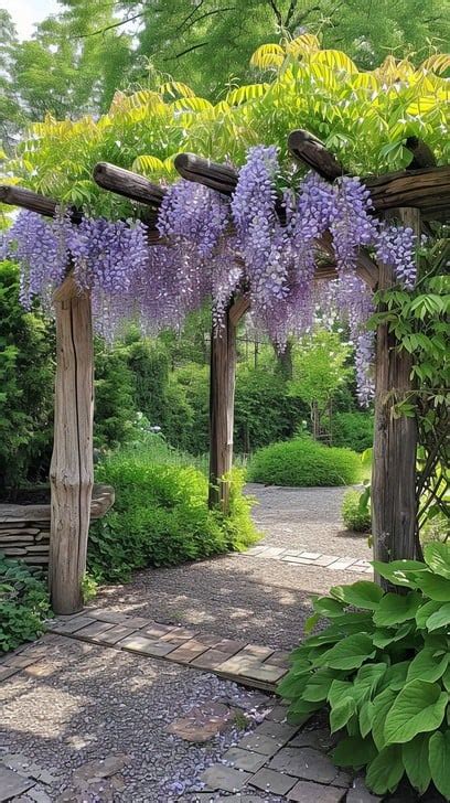 Free Wisteria Pergola Peace Photo Wisteria Pergola Garden