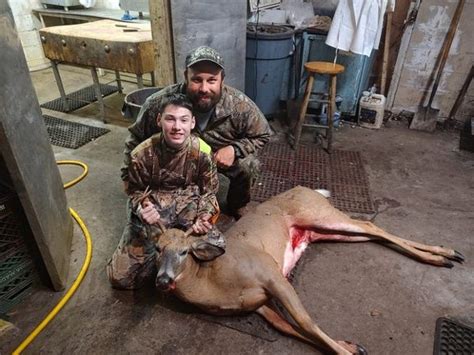 Deer 2023
