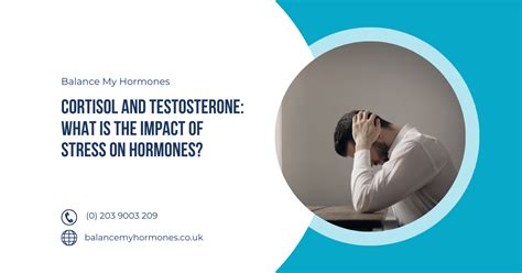 Does Smoking Increase Testosterone Balance My Hormones