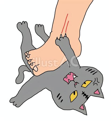 引っ掻くネコイラスト No 27533372｜無料イラスト・フリー素材なら「イラストac」