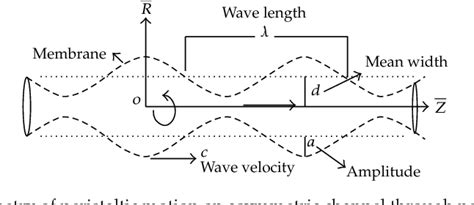 Figure 1 From Effect Of Rotation And Magnetic Field Through Porous