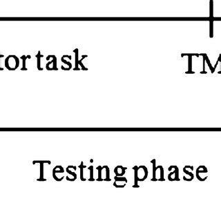 TMS Mapping Outcomes Over Time The Filled Circles Represent The Pelvic Download Scientific