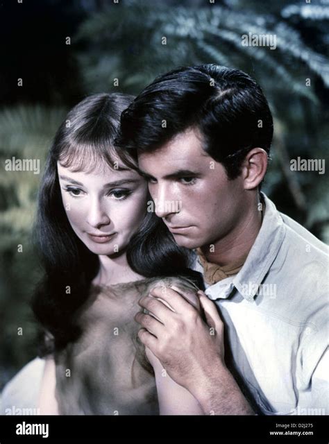 Green Mansions 1959 Mgm Film With Audrey Hepburn And Anthony Perkins