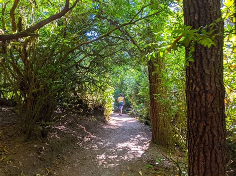 Hobbit Trail Florence Oregon
