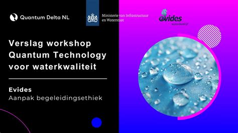 Programme And Ecosystem Quantum Delta Nl