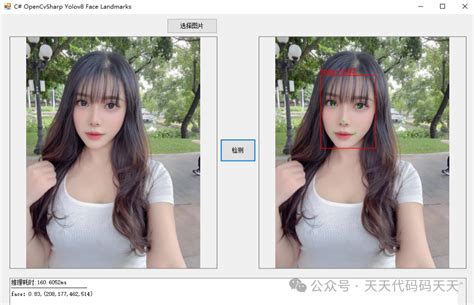c opencvsharp yolov8 face landmarks 人脸特征检测 csdn博客